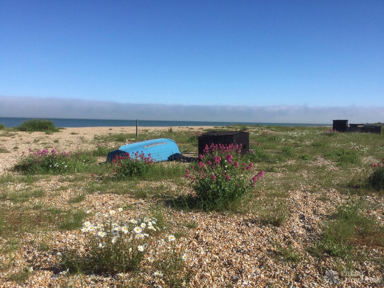 Kingsdown Beach Shoot Location | Fresh Locations