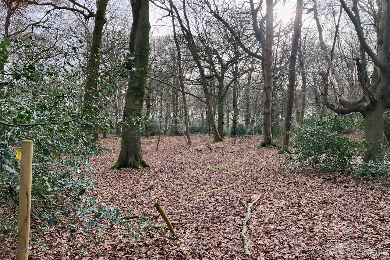 Bramble Farm Shoot Location | Fresh Locations